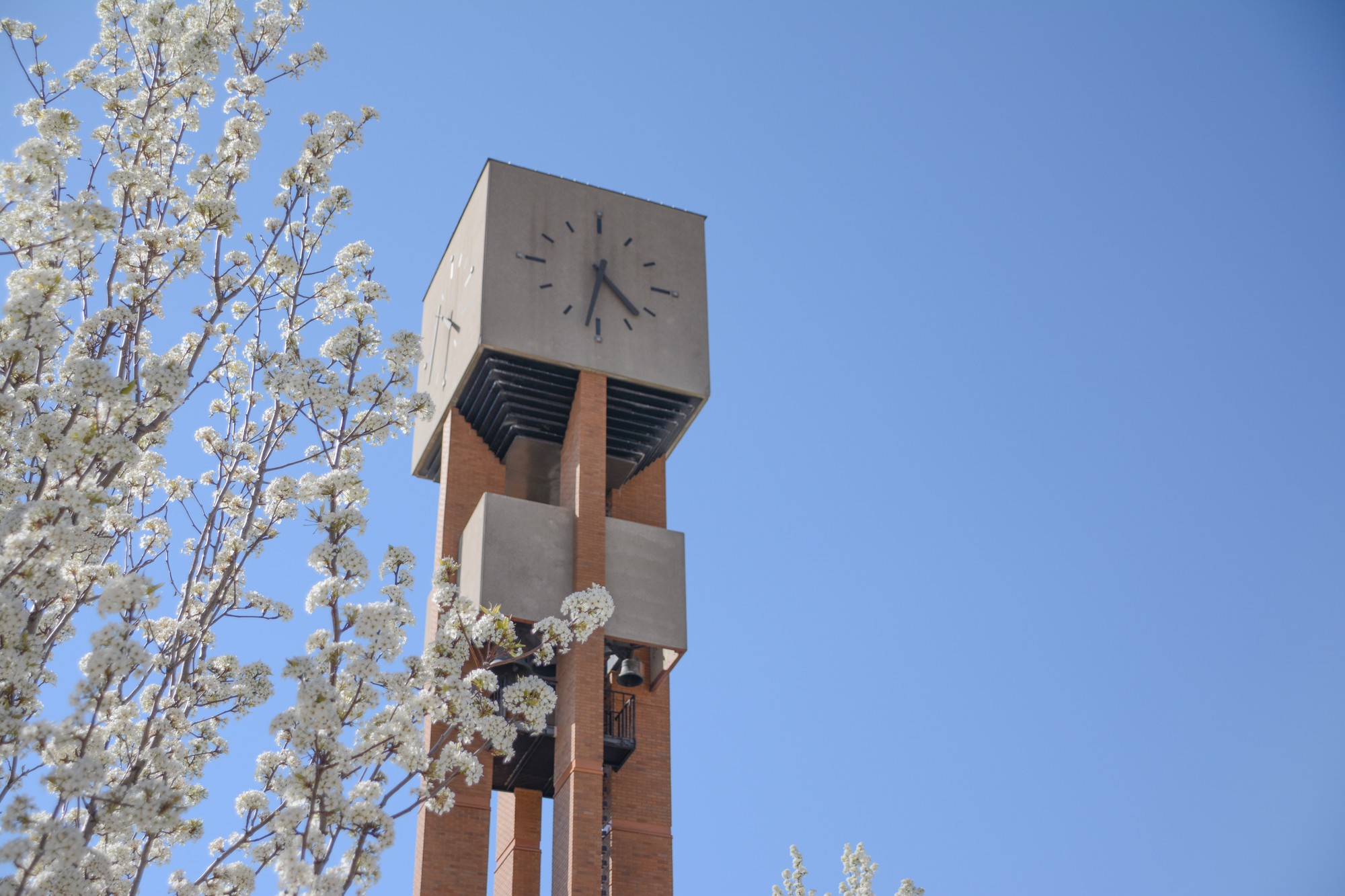 Looking back on the iconic Stewart Bell Tower - The Signpost