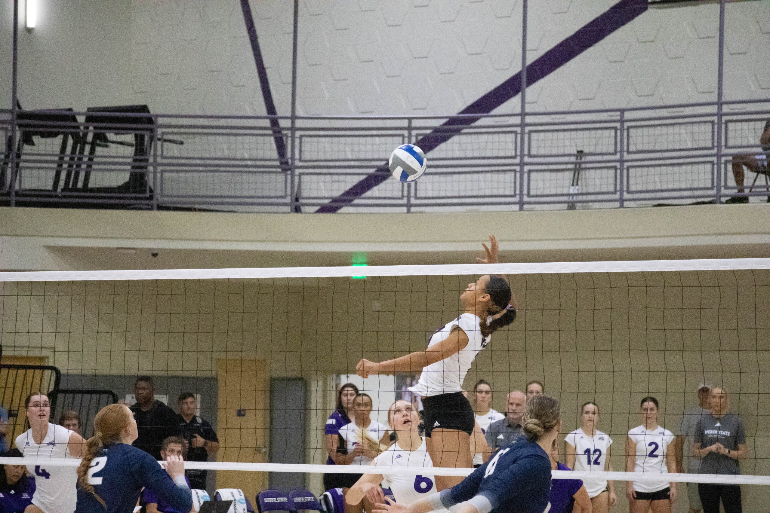 Wildcat volleyball slashed by Cougars - The Signpost